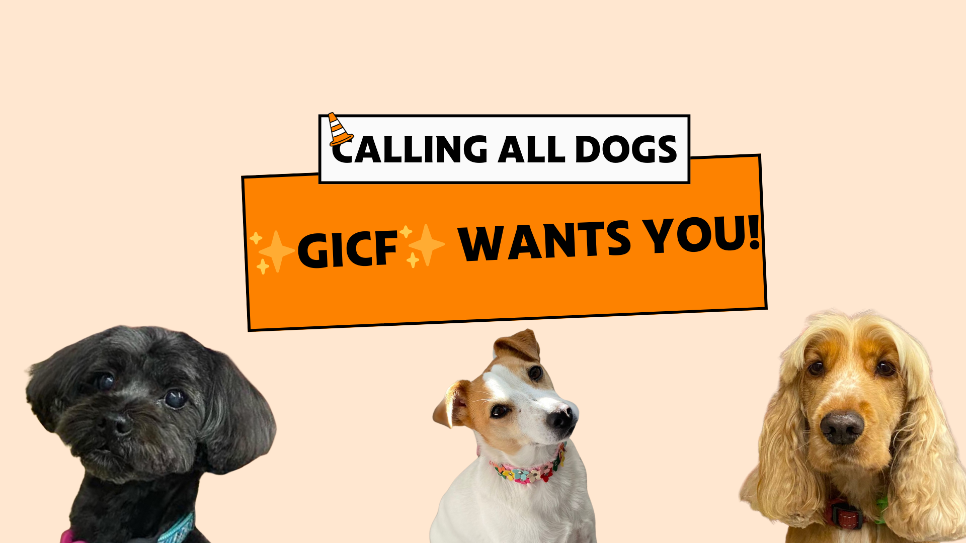 Calling all dogs! - Glasgow International Comedy Festival